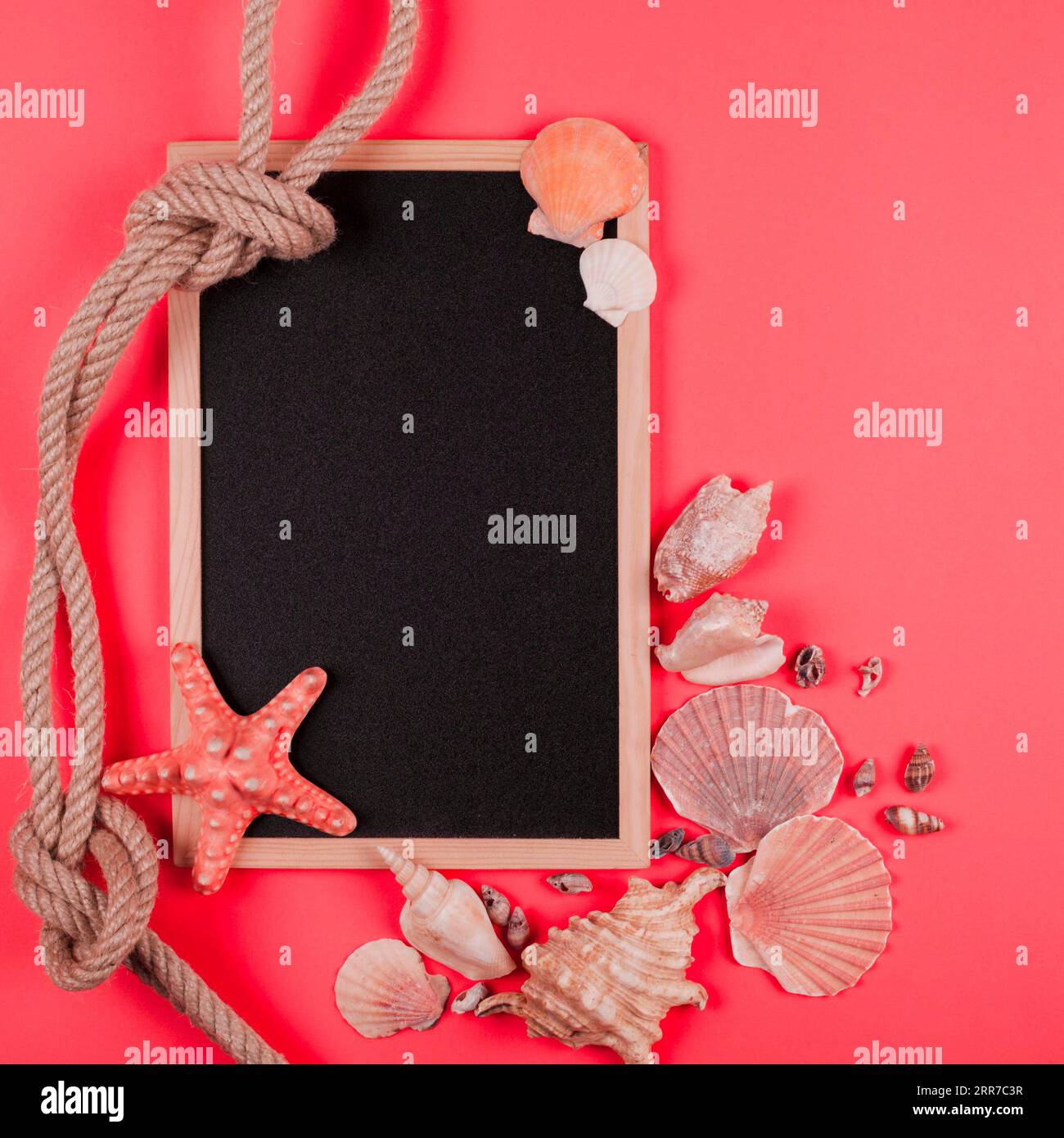 Tied rope seashells with blank blackboard coral background Stock Photo ...
