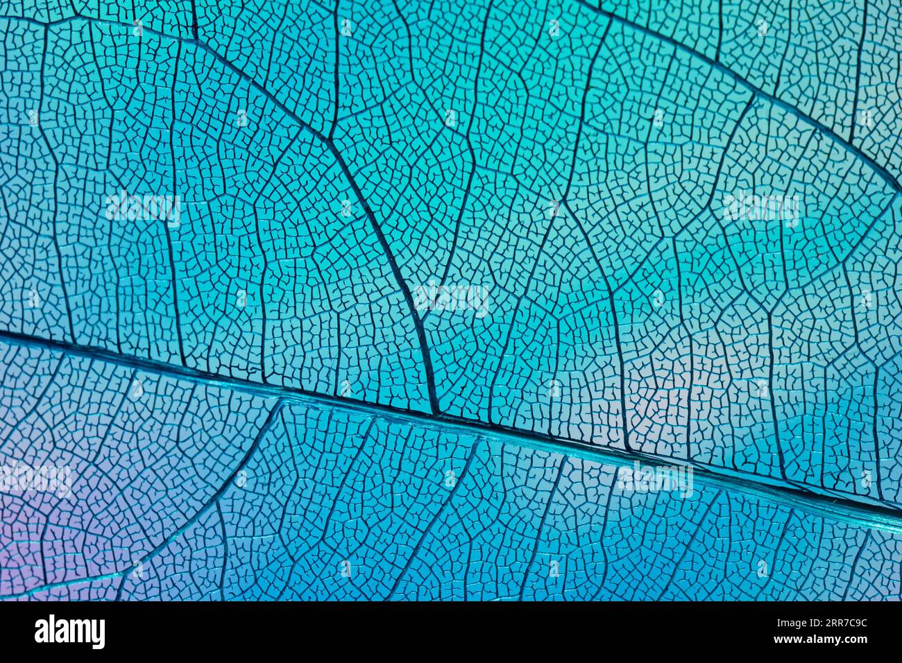 Blue backlight hi-res stock photography and images - Alamy