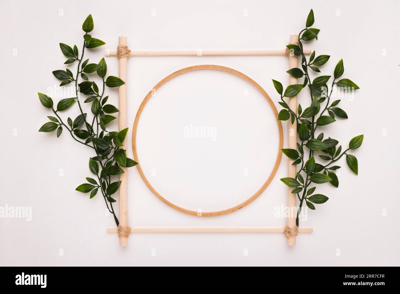 Wooden square circle frame decorated with green leaves white backdrop ...