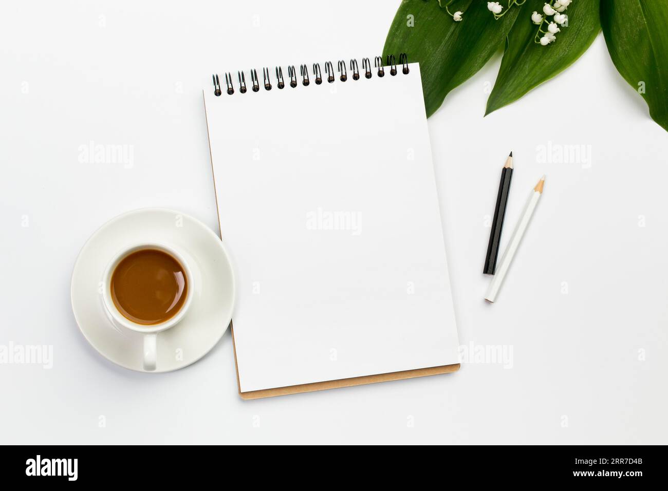 Spiral eucalyptus hi-res stock photography and images - Alamy