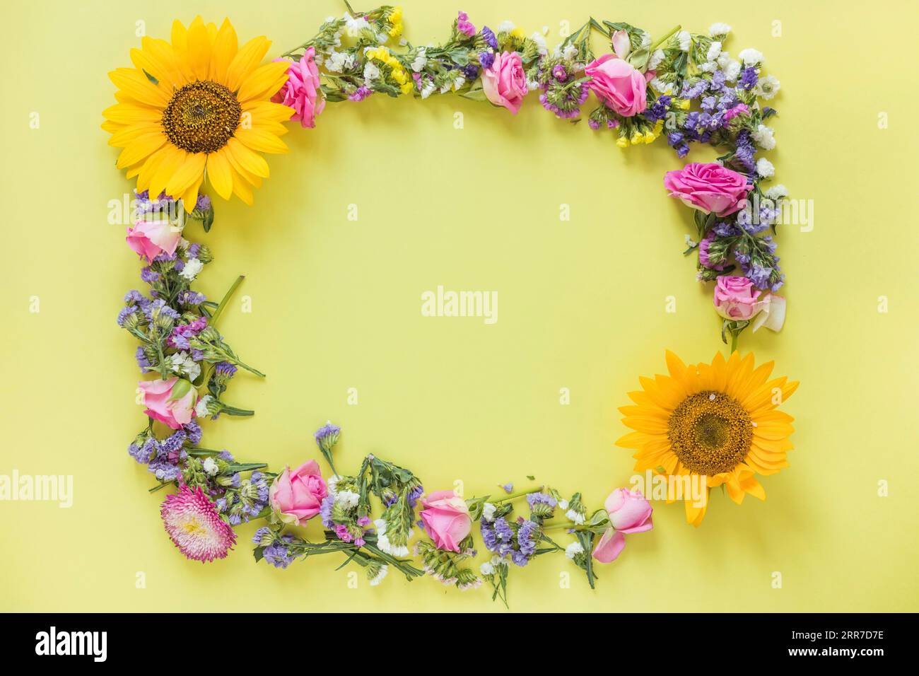 Elevated view fresh flowers forming frame yellow surface Stock Photo ...