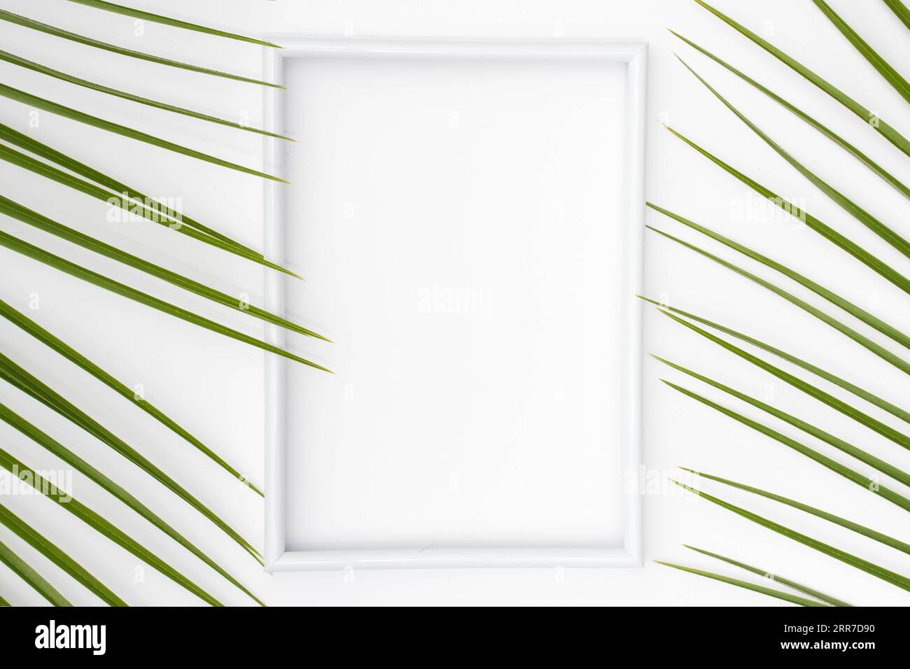 Plain white surface hi-res stock photography and images - Alamy