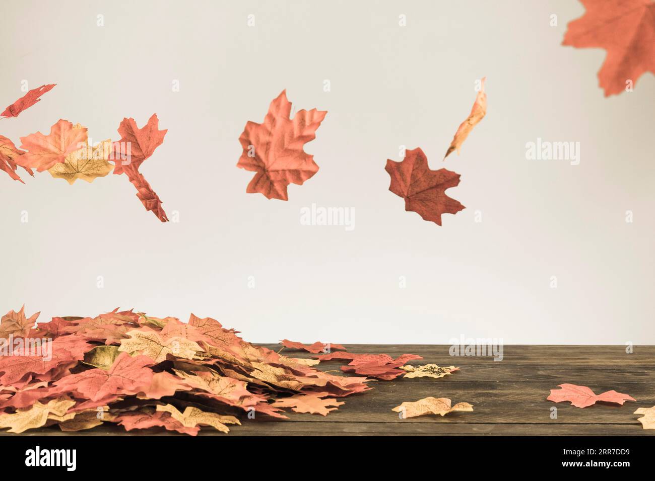 Fall leaves flying bunch foliage Stock Photo - Alamy