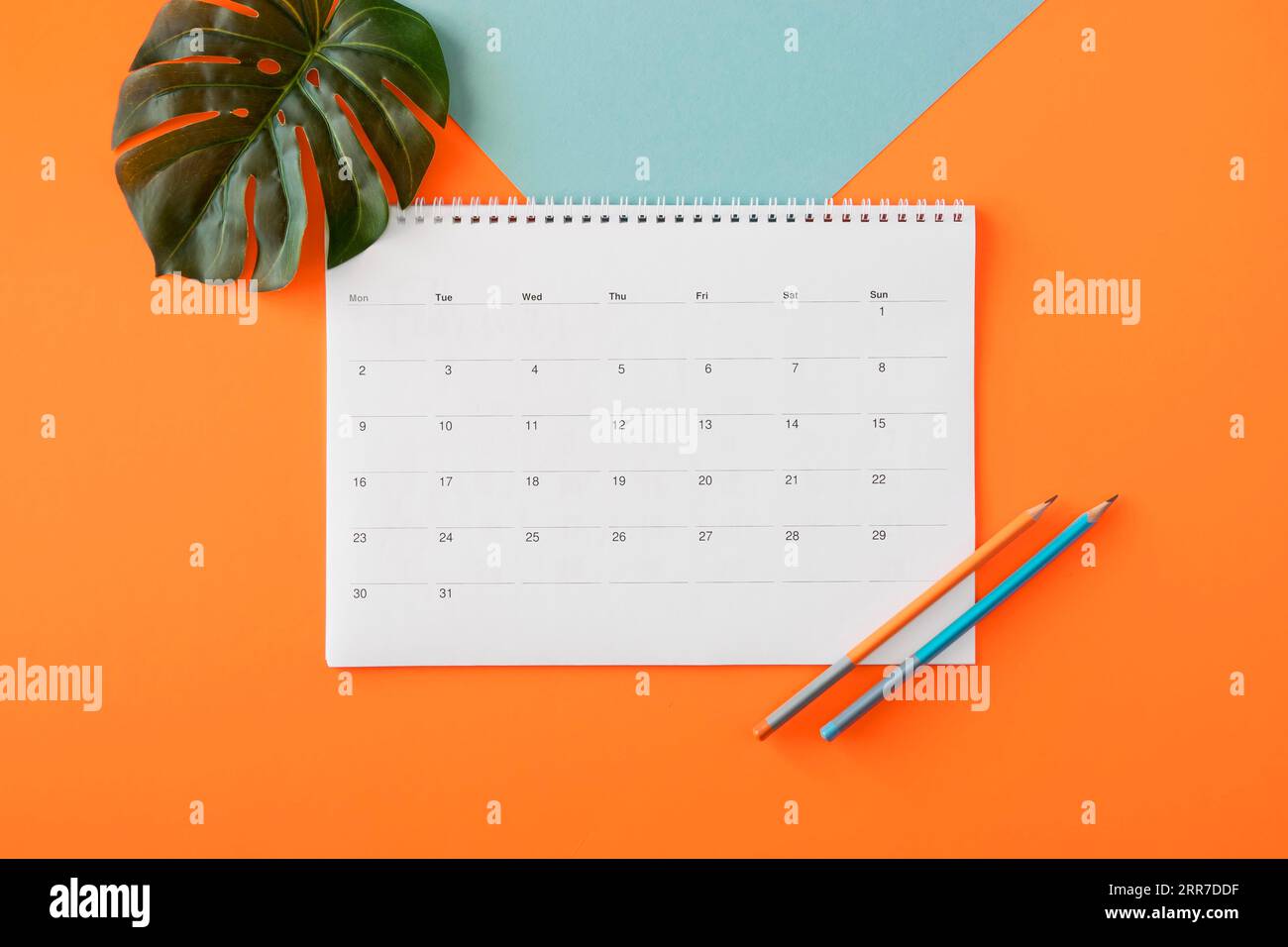 Flat lay planner calendar with monstera leaf Stock Photo - Alamy