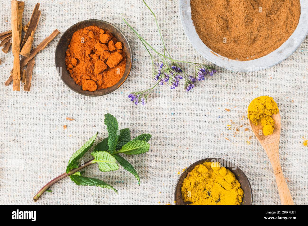 Plant twig hi-res stock photography and images - Alamy