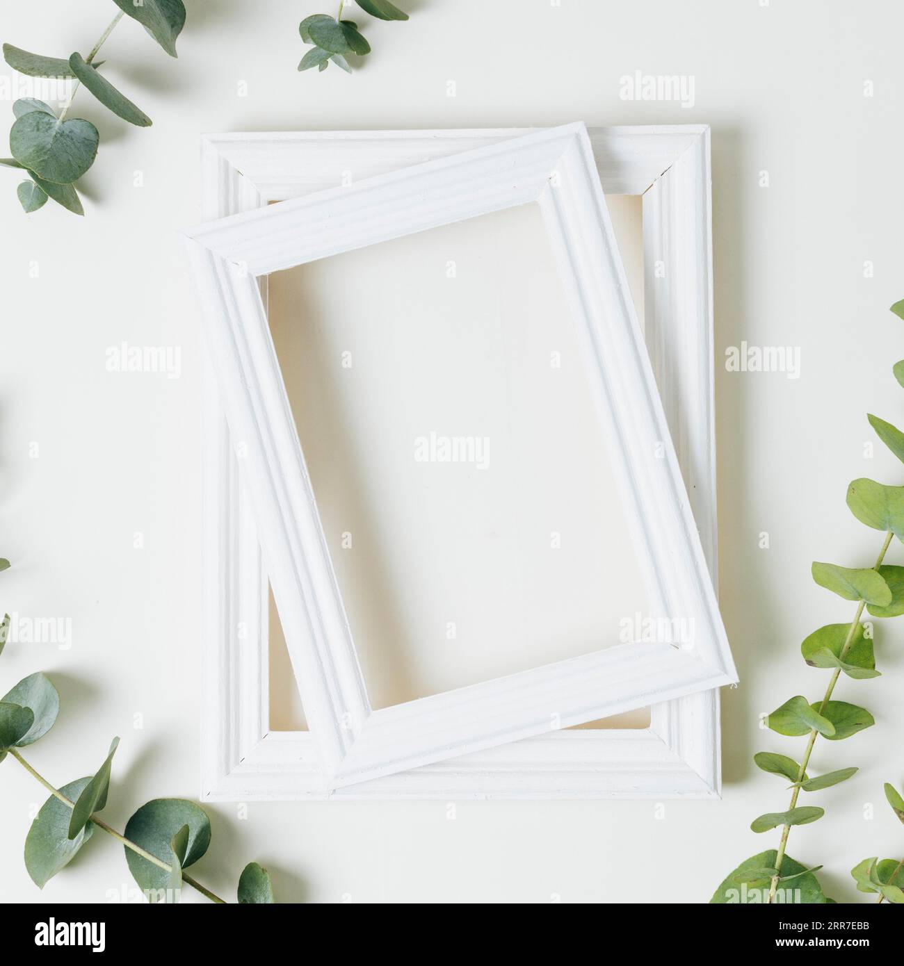 Stacked white border frames with green leaves twig white backdrop Stock ...