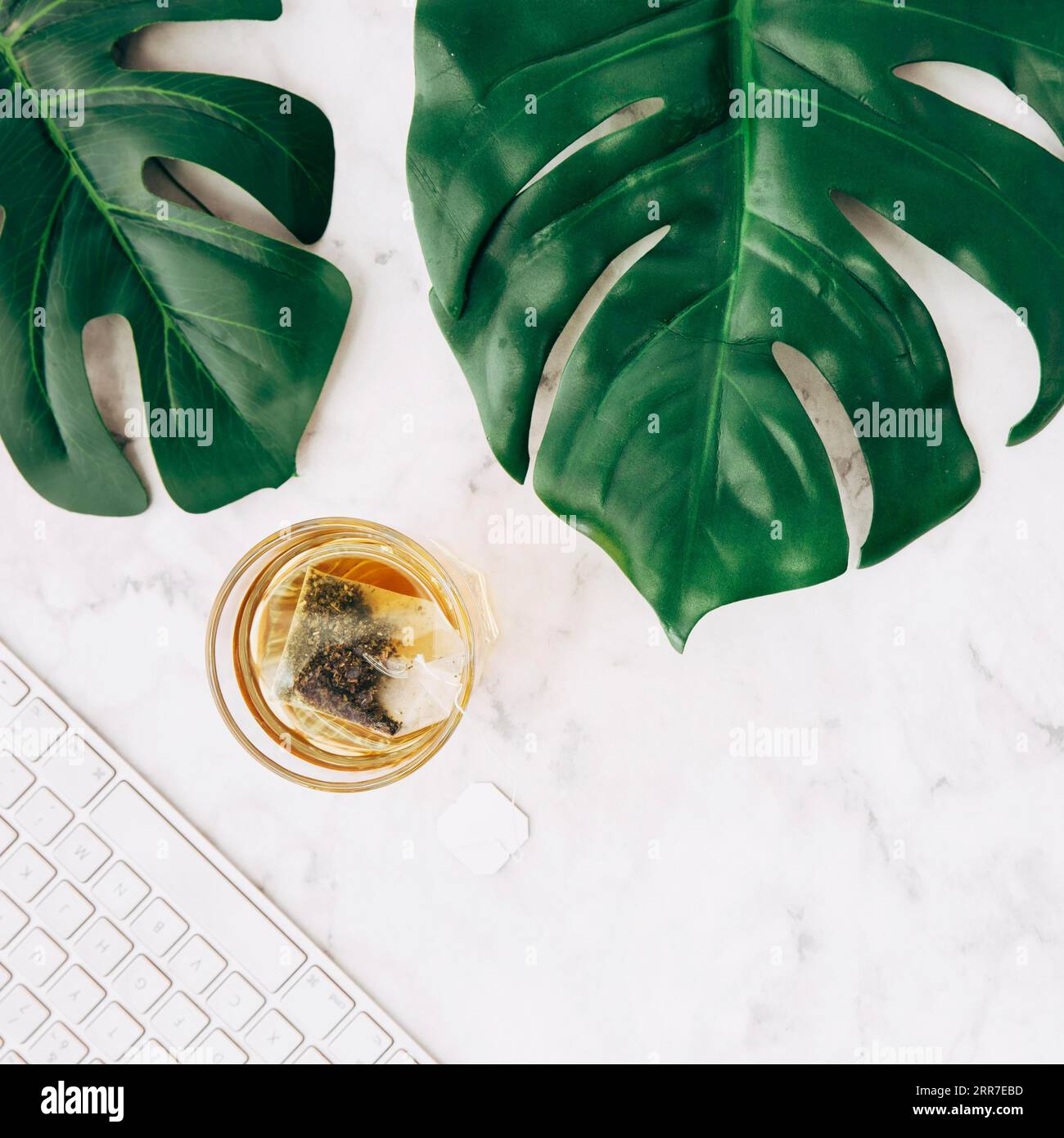 Tea bag glass transparent cup green monstera leaves keyboard white ...