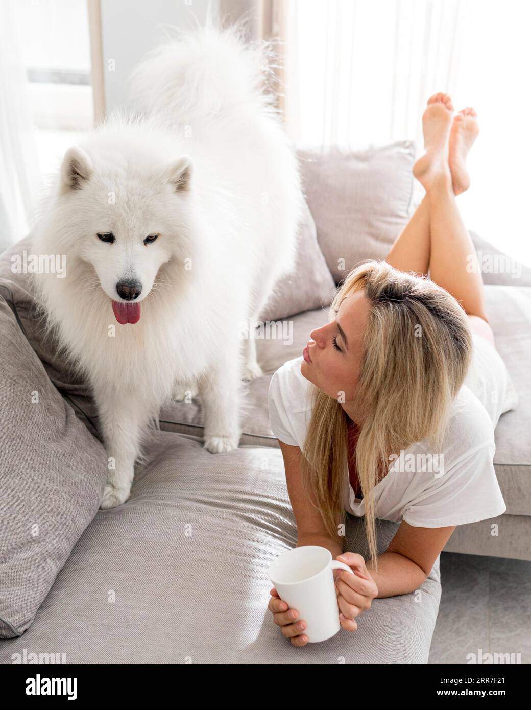 Beautiful lovely dog woman Stock Photo - Alamy