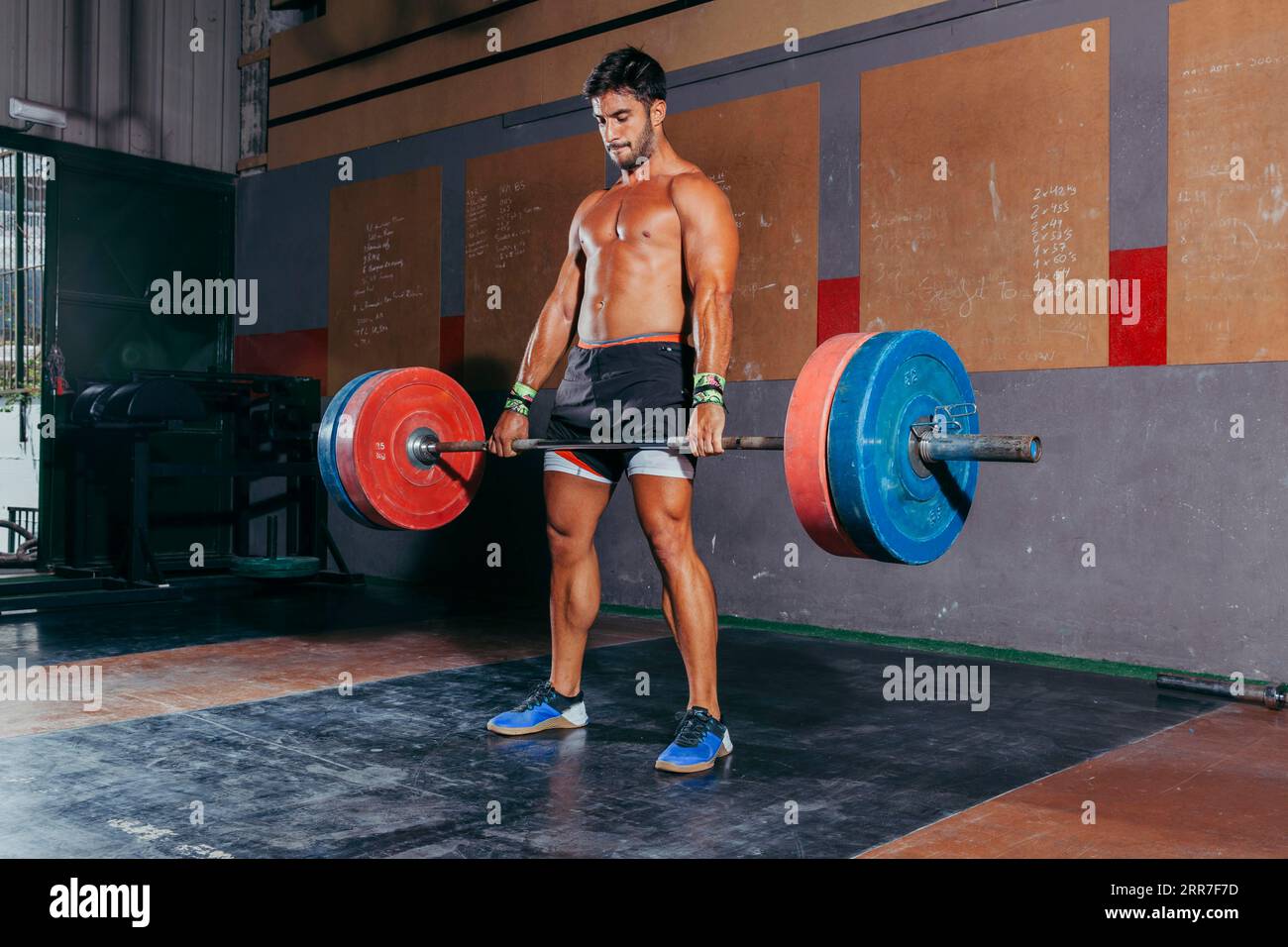 Bodybuilding gym concept with man Stock Photo - Alamy