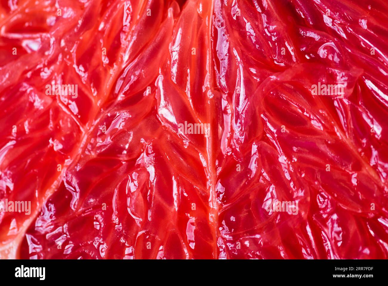 Close up of grapefruit hi-res stock photography and images - Alamy
