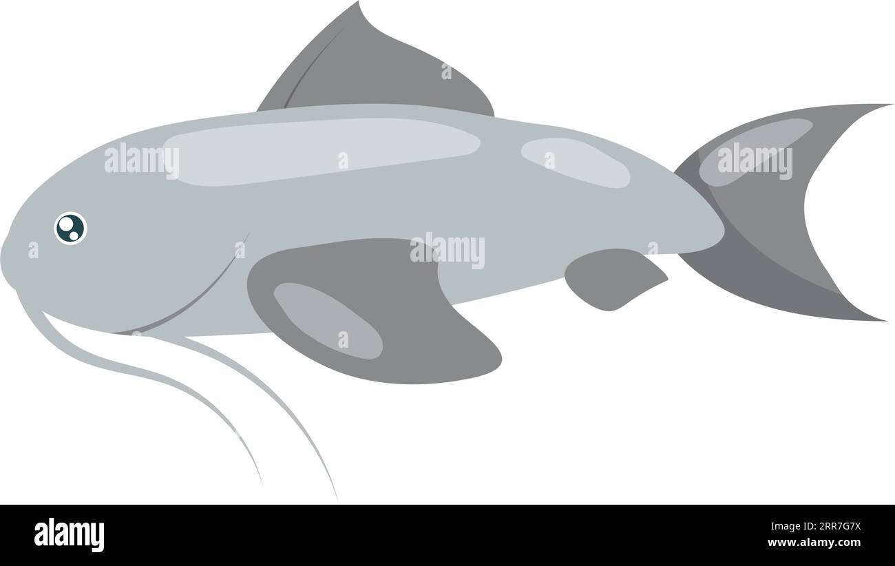 catfish sea life icon Stock Vector Image & Art - Alamy