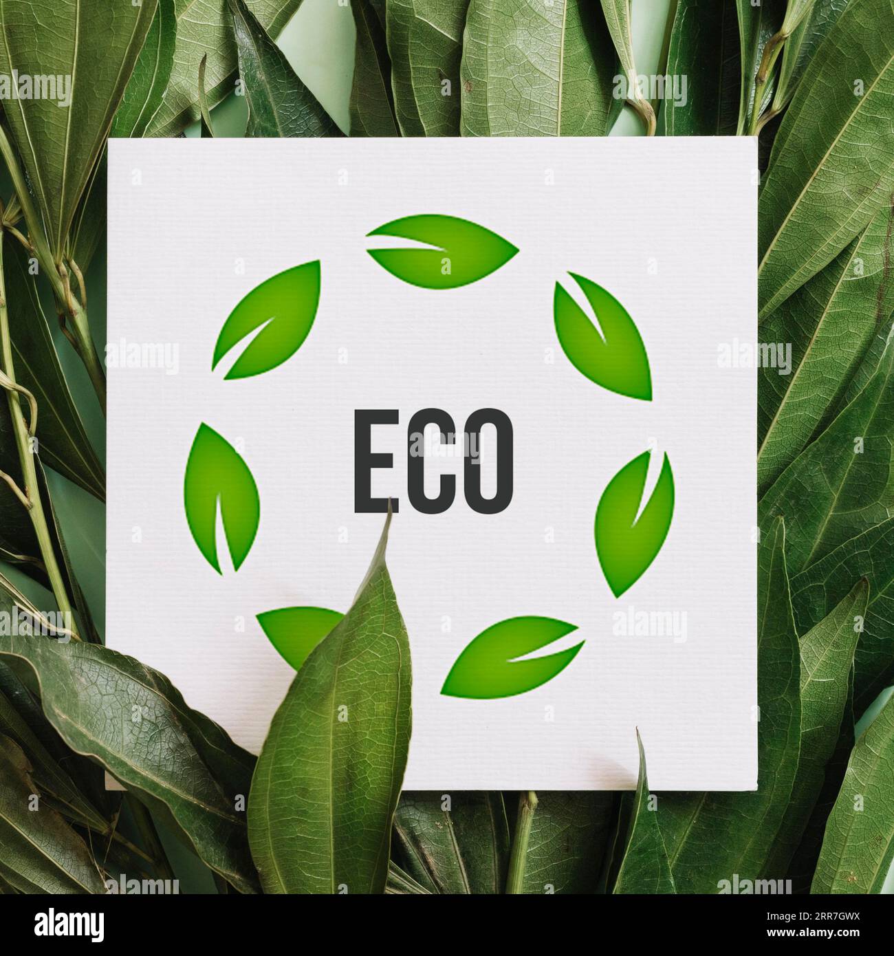 Ecological reminder hi-res stock photography and images - Alamy