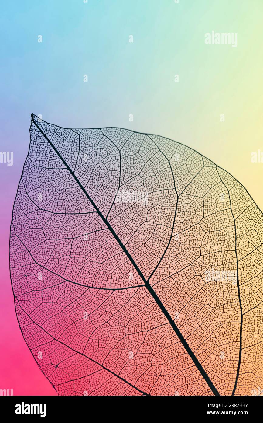 Transparent depiction hi-res stock photography and images - Alamy