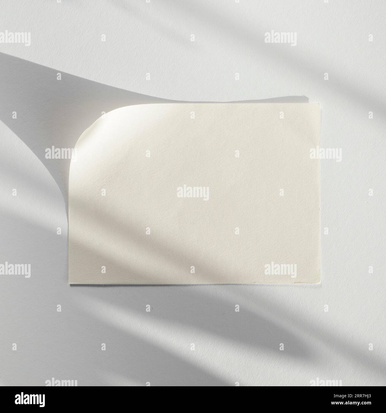 White background with white blank paper with its shadow Stock Photo - Alamy