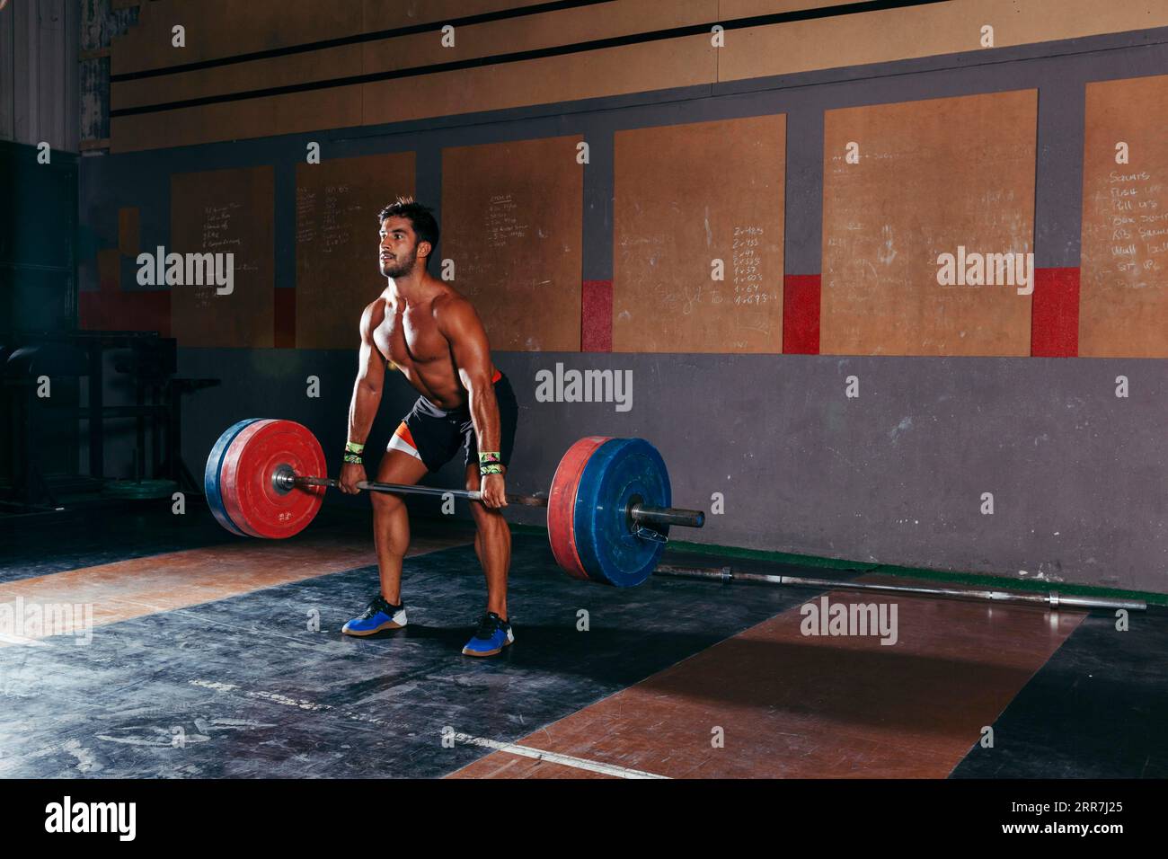 Musculature hi-res stock photography and images - Alamy