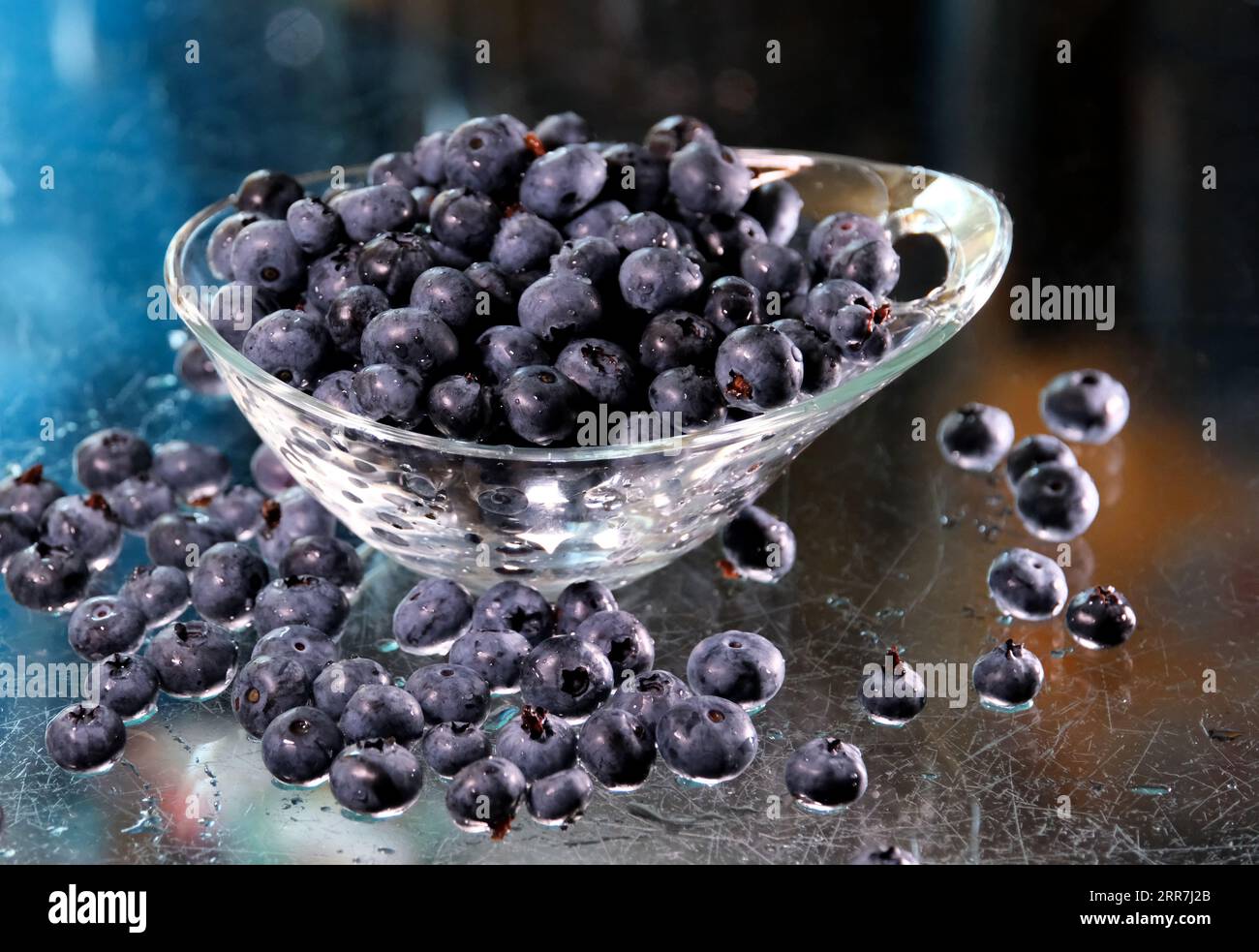 High quality blueberry plants hi-res stock photography and images - Alamy