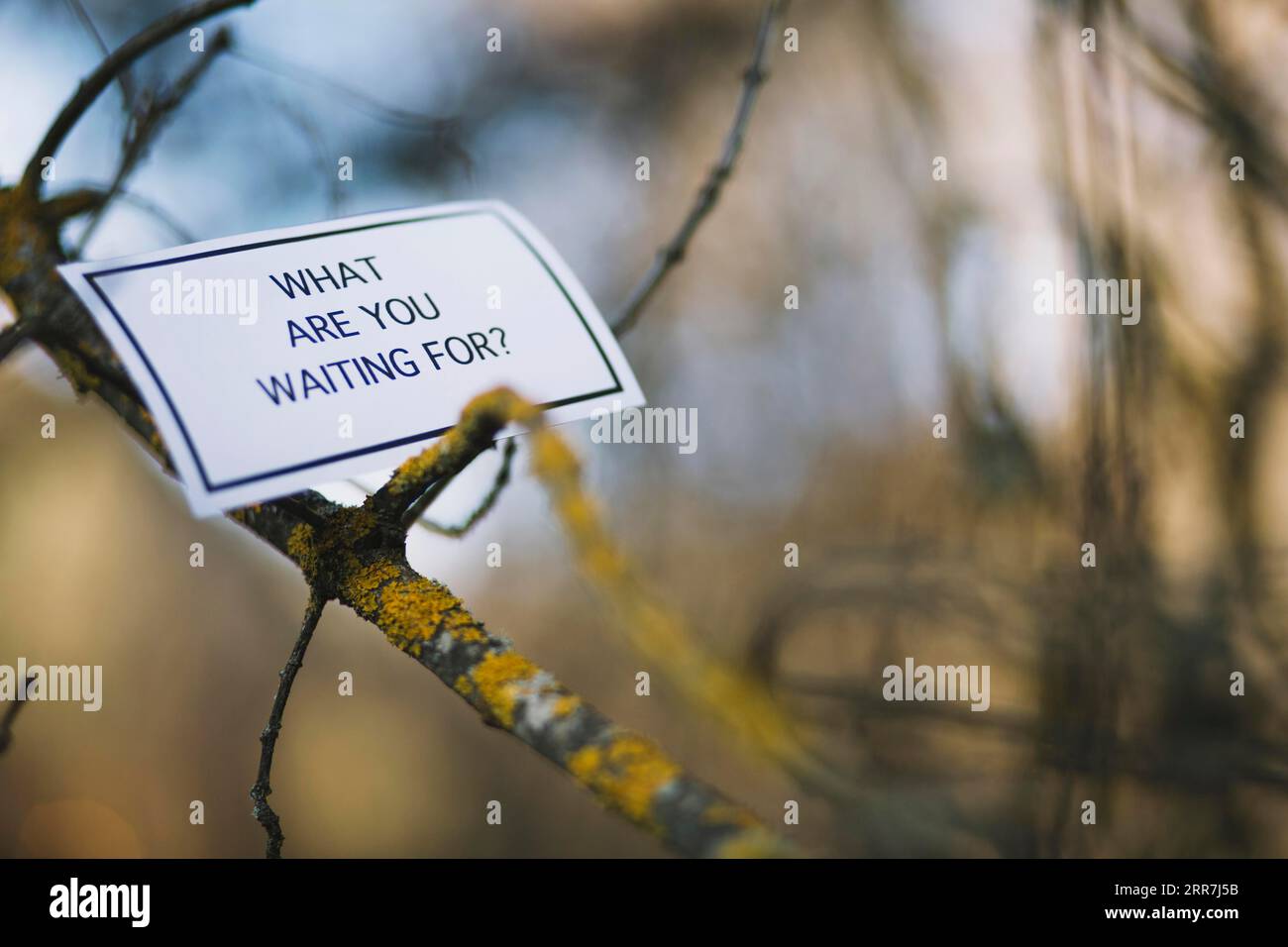 Encouraging writing branch Stock Photo - Alamy