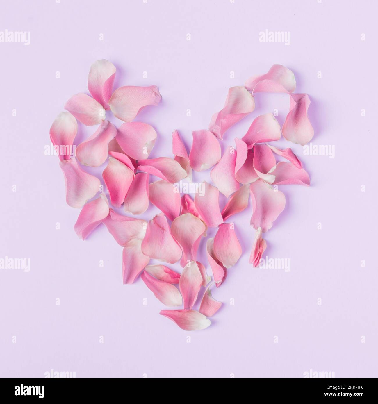 Petals cutout hi-res stock photography and images - Alamy