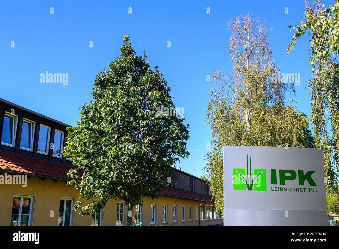 Celebrate its 80th anniversary hi-res stock photography and images - Alamy