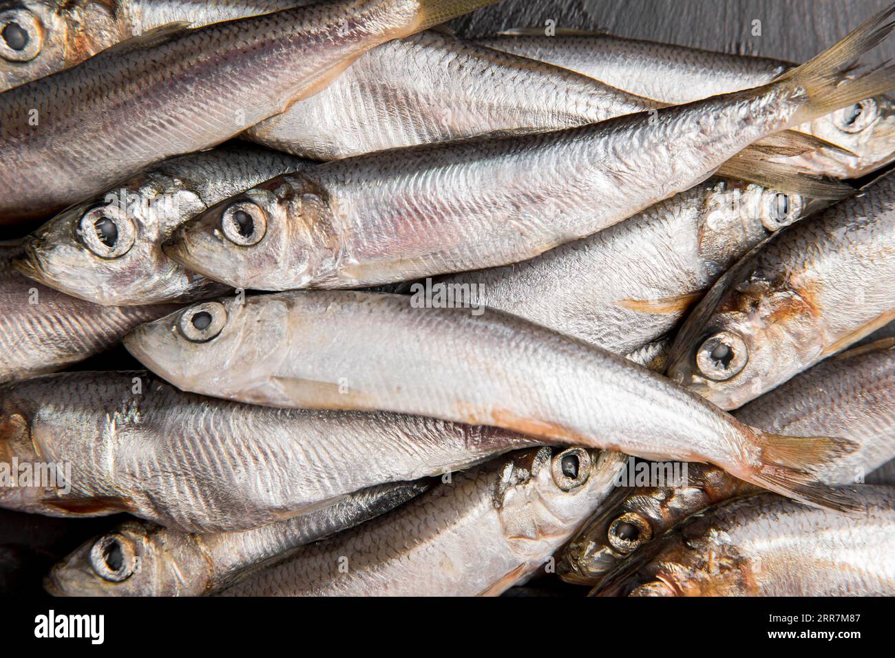 Crowd tuna fish top view Stock Photo - Alamy