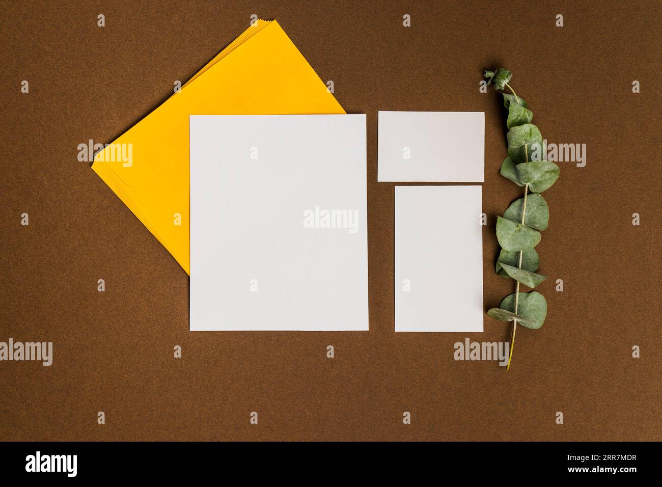 Floral decoration with three sheets paper Stock Photo - Alamy