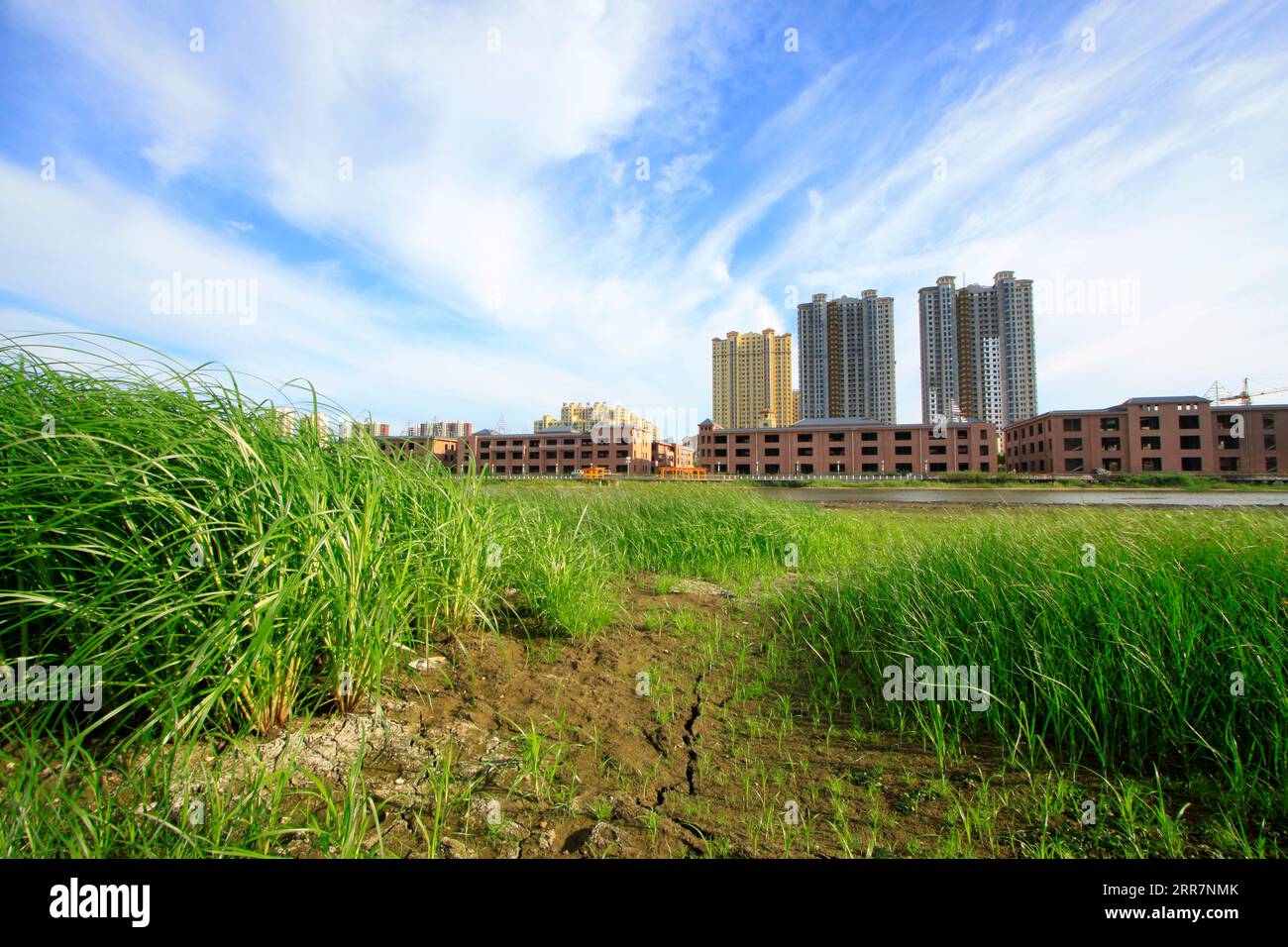 city building scenery, China Stock Photo - Alamy