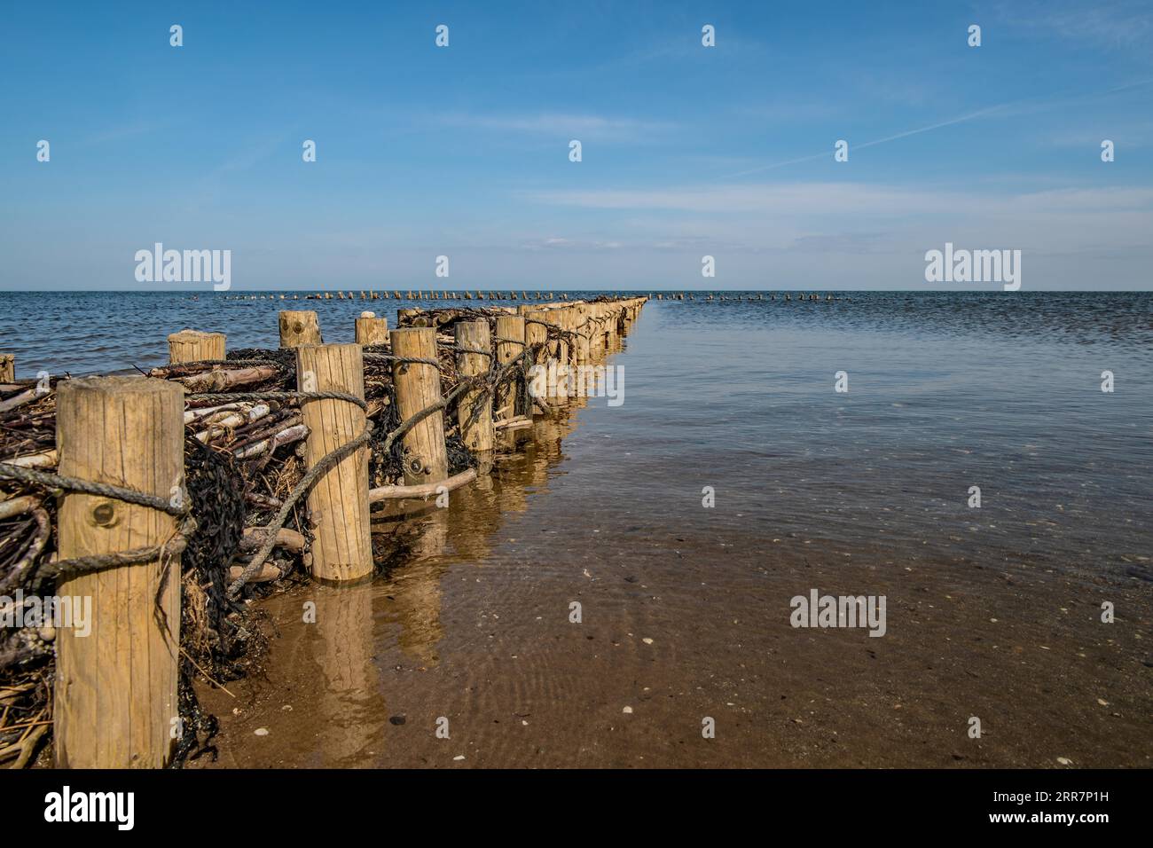 Rows of wooden pegs for bank protection Stock Photo - Alamy