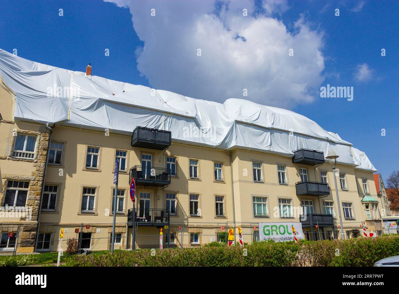 An apartment building in Bannewitz has a massive wood tick infestation ...