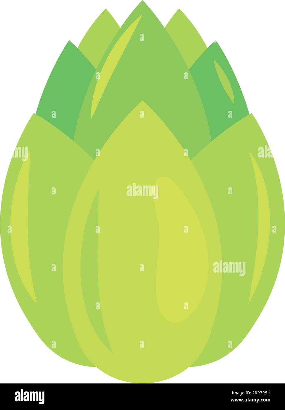 Barley field green Stock Vector Images - Alamy