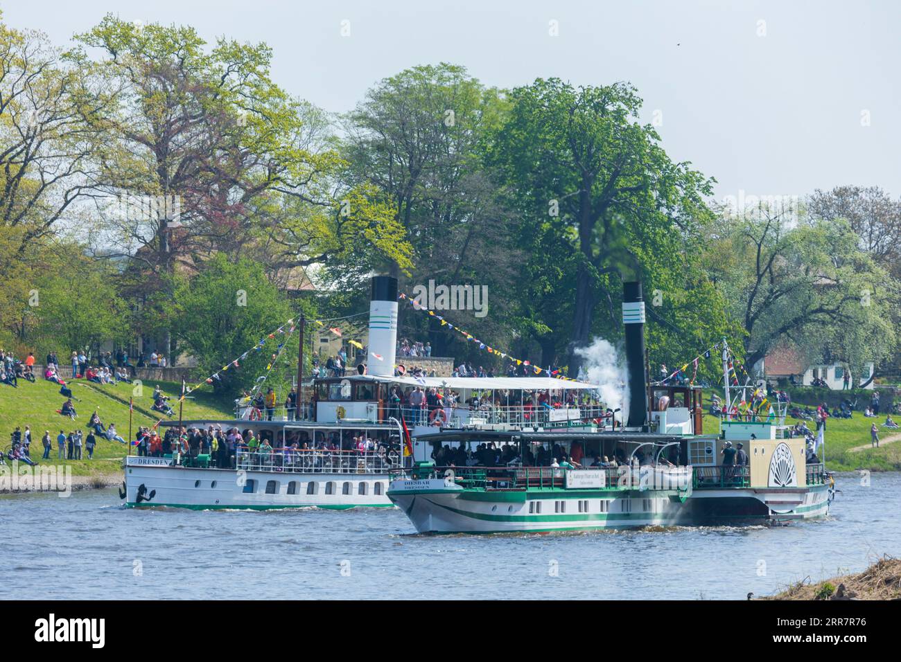 Steamship parade of the historic paddle steamers Stock Photo - Alamy