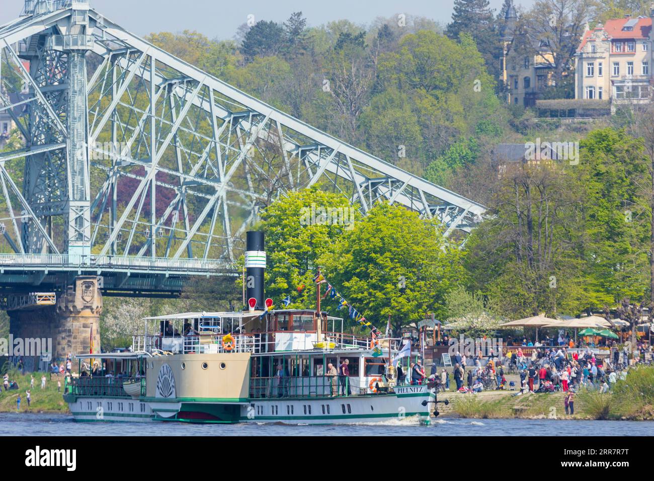 Steamship parade of the historic paddle steamers Stock Photo - Alamy