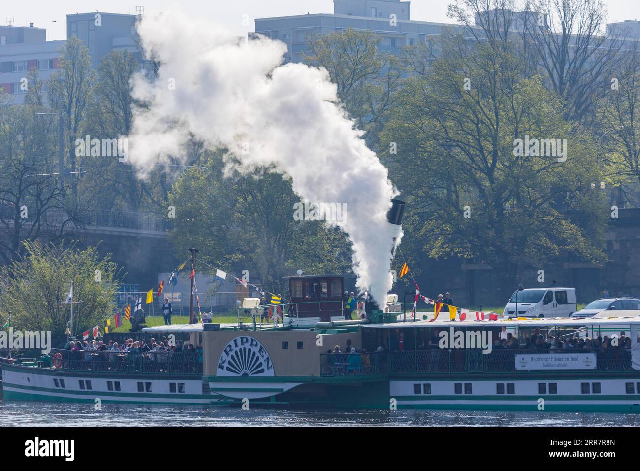 Steamship parade of the historic paddle steamers Stock Photo - Alamy