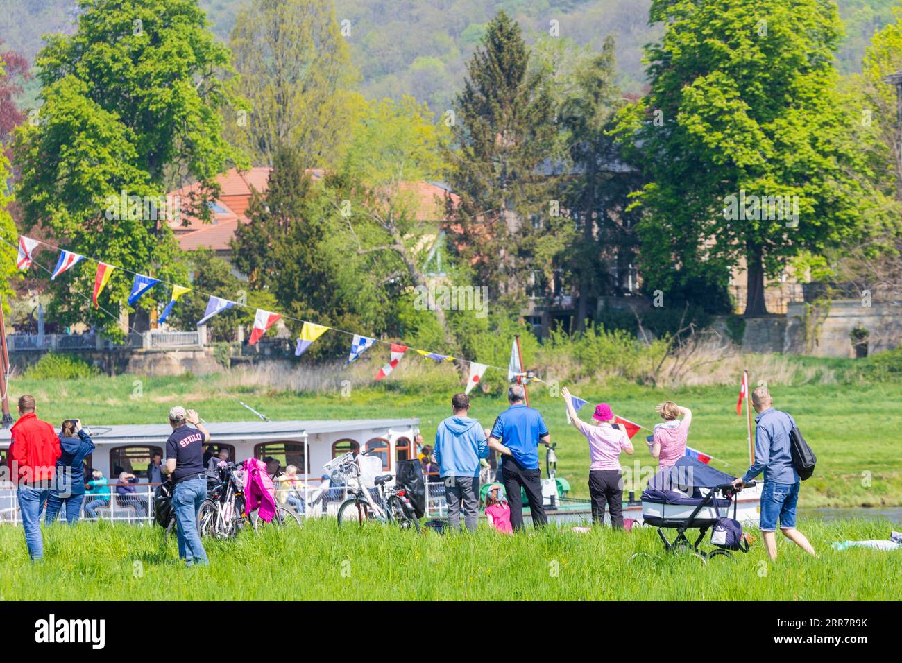Steamship parade of the historic paddle steamers Stock Photo - Alamy