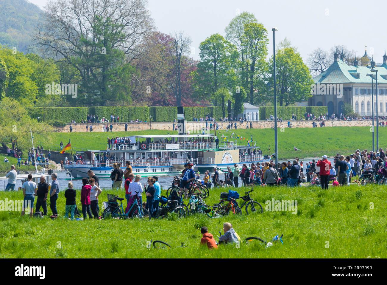 Steamship parade of historic paddle steamers in front of Pillnitz ...