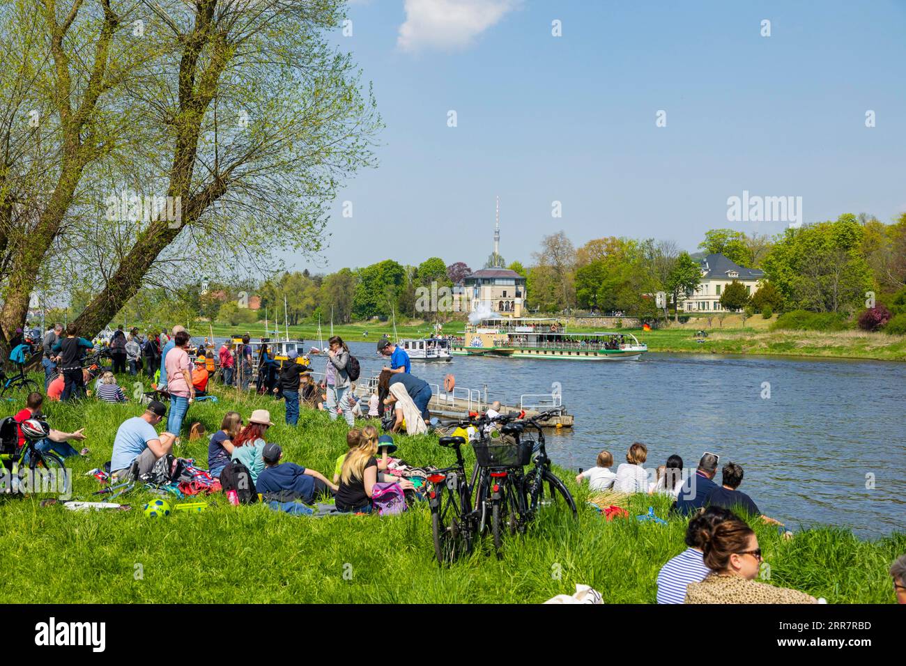Steamship parade of the historic paddle steamers Stock Photo - Alamy