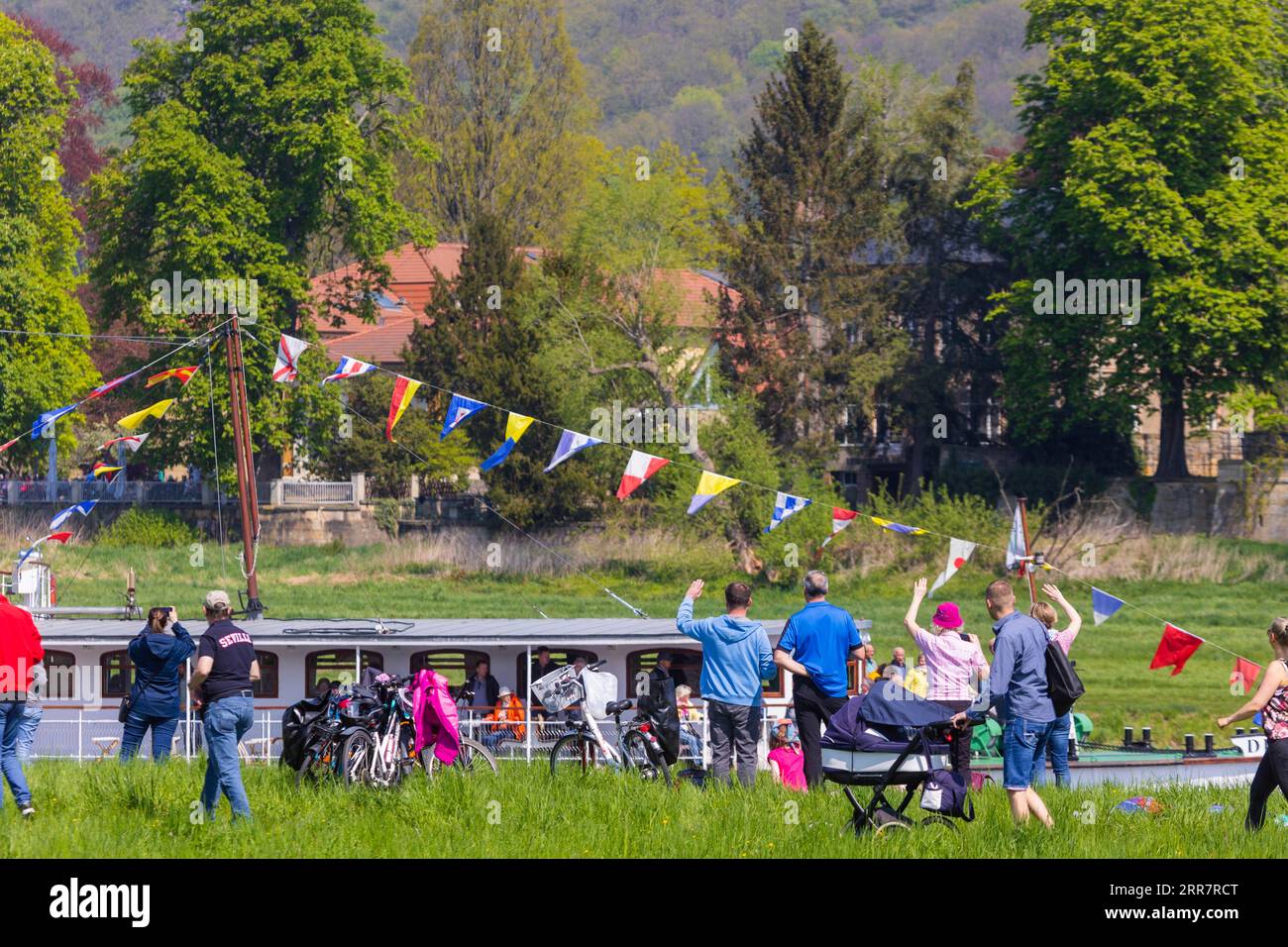 Steamship parade of the historic paddle steamers Stock Photo - Alamy