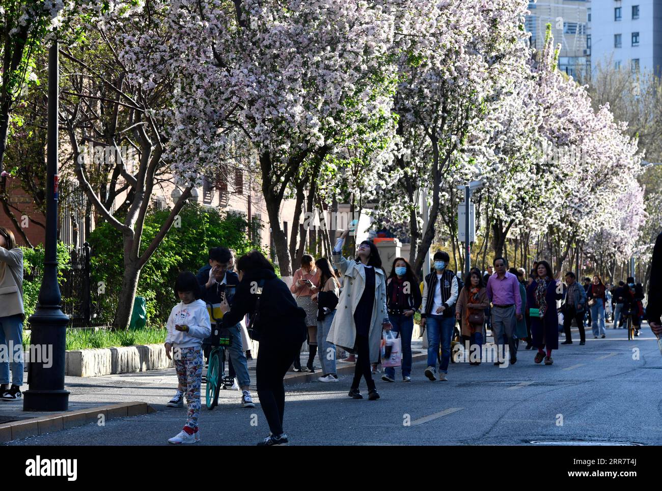 210403 -- TIANJIN, April 3, 2021 -- People view flowering Chinese ...