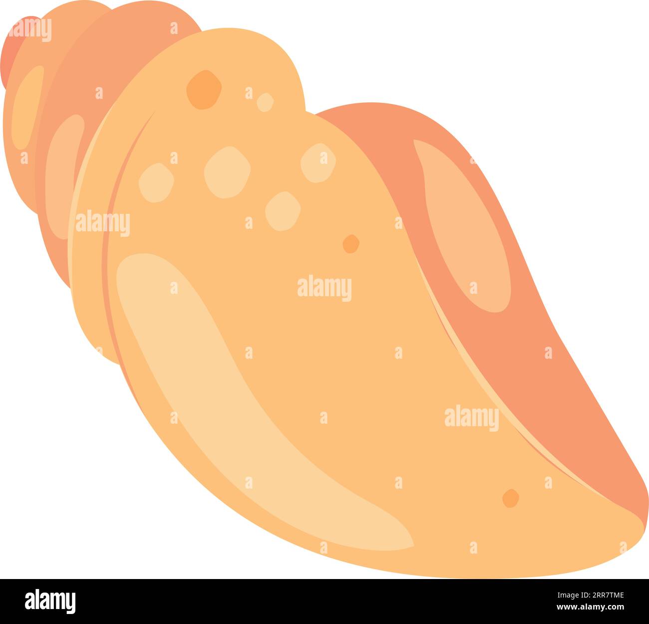 snail shell sea life icon Stock Vector Image & Art - Alamy