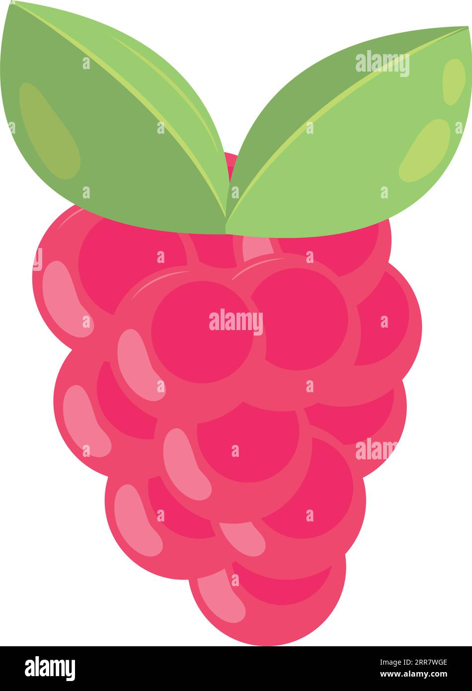 raspberry fruit icon Stock Vector Image & Art - Alamy
