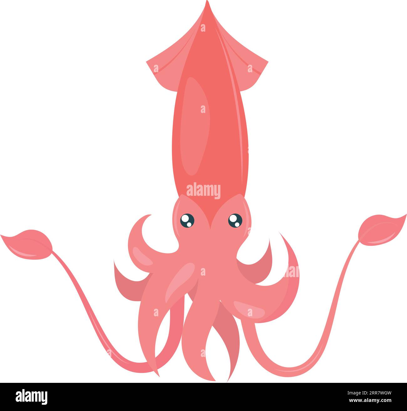 Calamar Stock Vector Images - Alamy