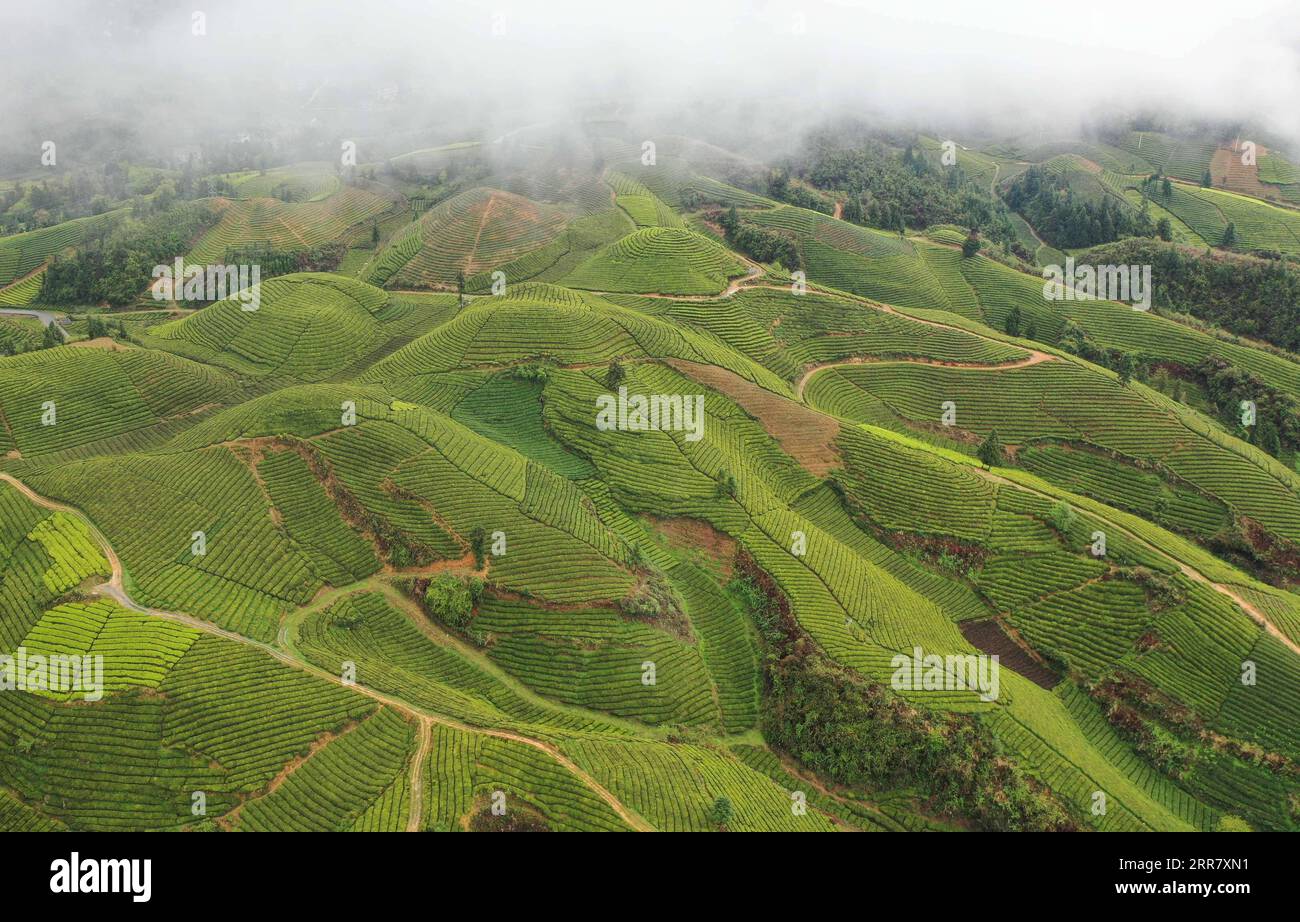 Mu er hi-res stock photography and images - Alamy