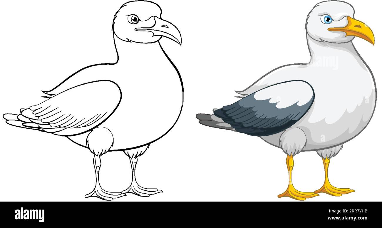 A smiling seagull bird outline for coloring pages, isolated on white ...