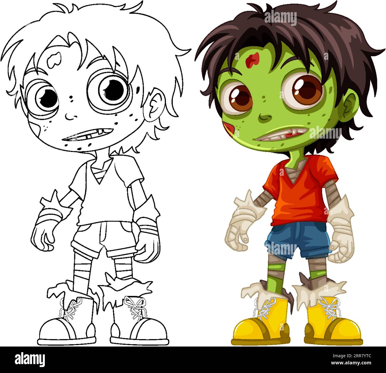 A vector illustration of a male zombie with green skin and an outline ...