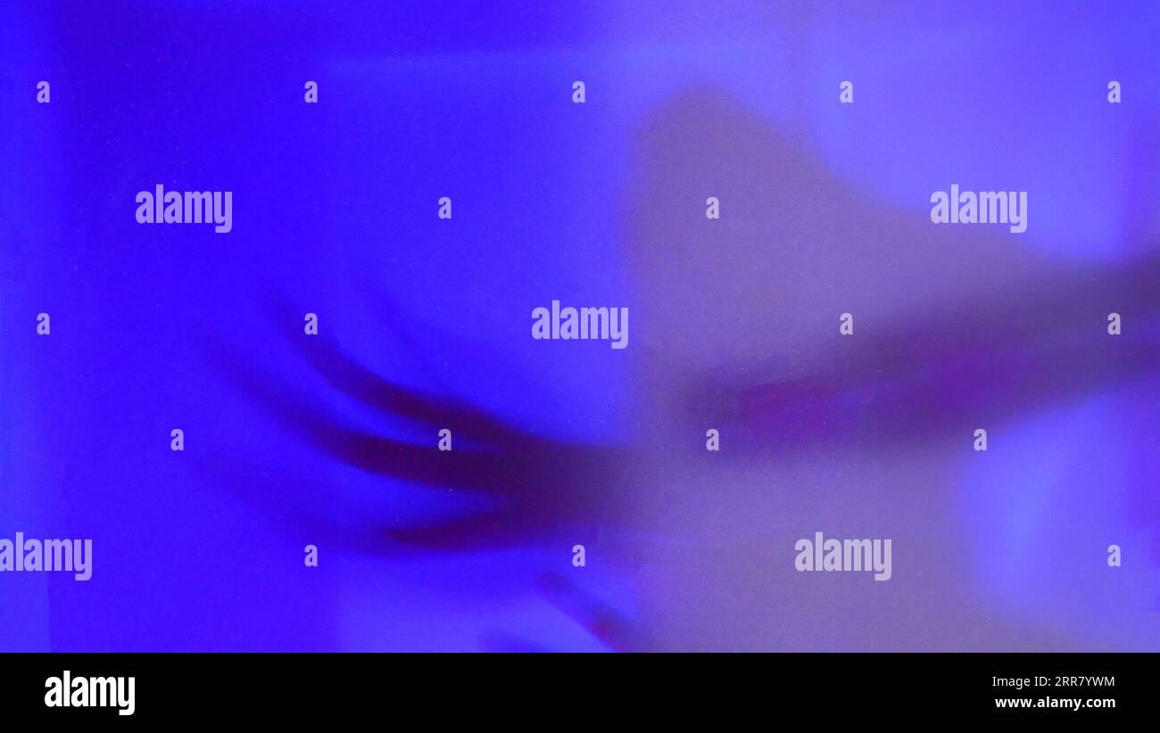 Defocused abstact silhouette of arm, hand spooky action, alien, ghost ...