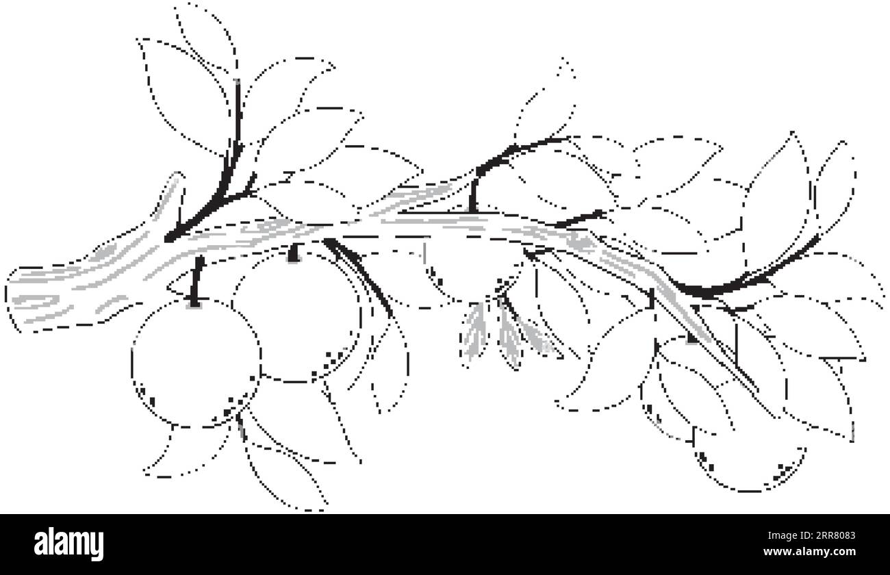 Vector cartoon illustration of an orange tree branch Stock Vector Image ...