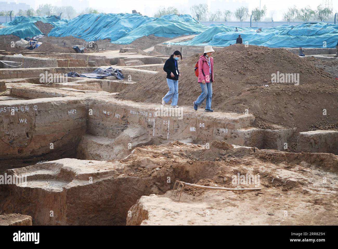 Chen chao hi-res stock photography and images - Alamy