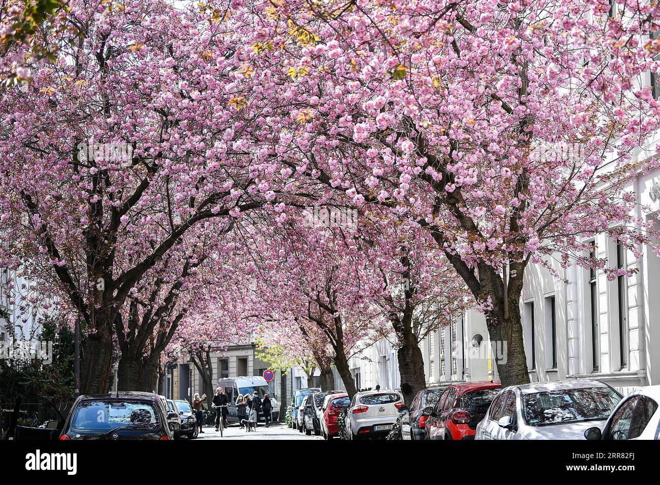 Ulrichxhufnagel hi-res stock photography and images - Alamy