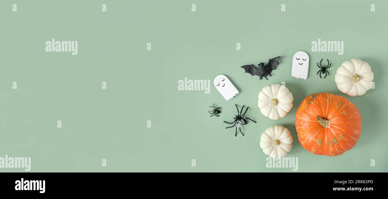 Halloween background with black bats, spiders, orange pumpkins. Modern ...