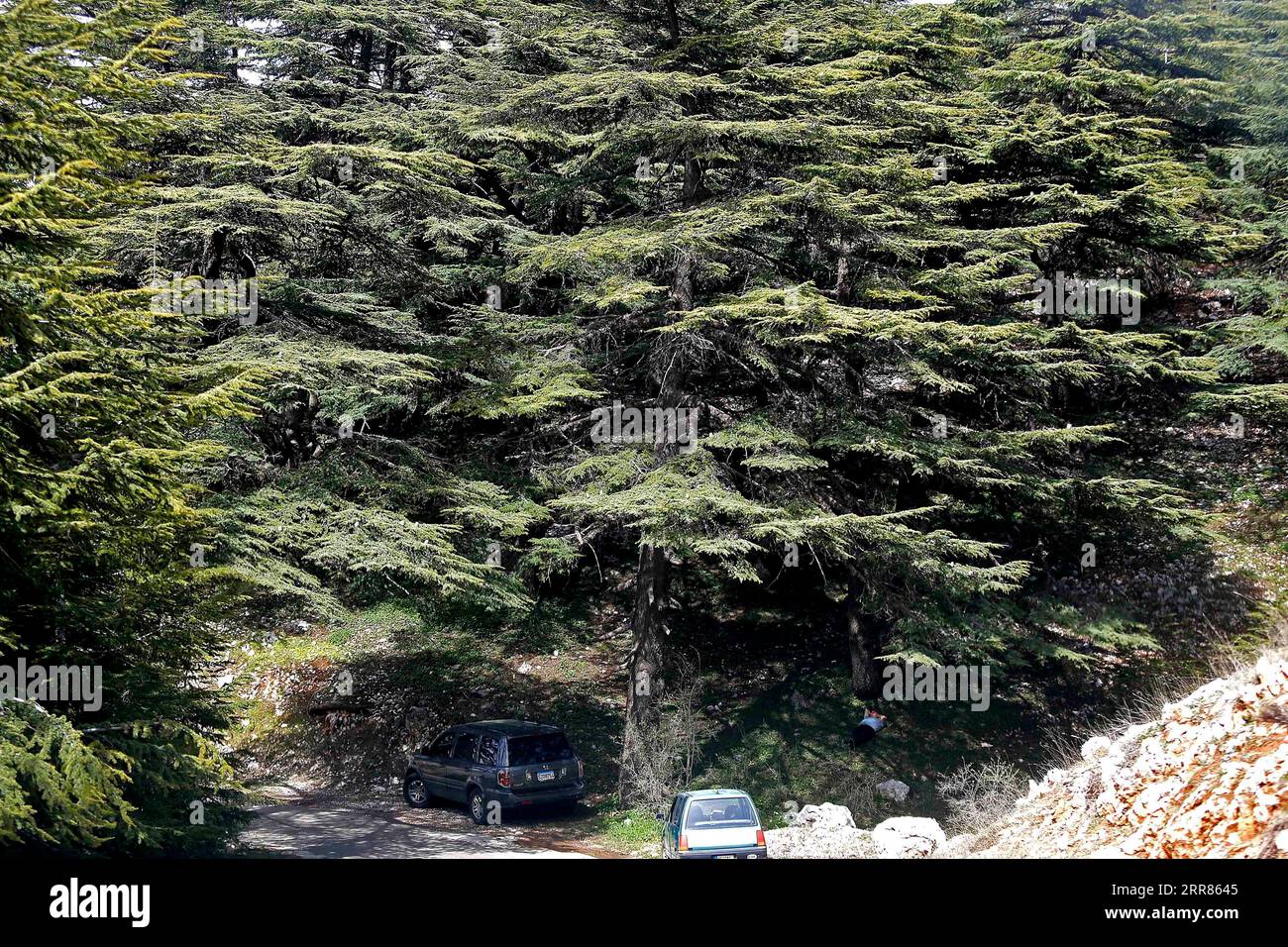 Barouk hi-res stock photography and images - Alamy