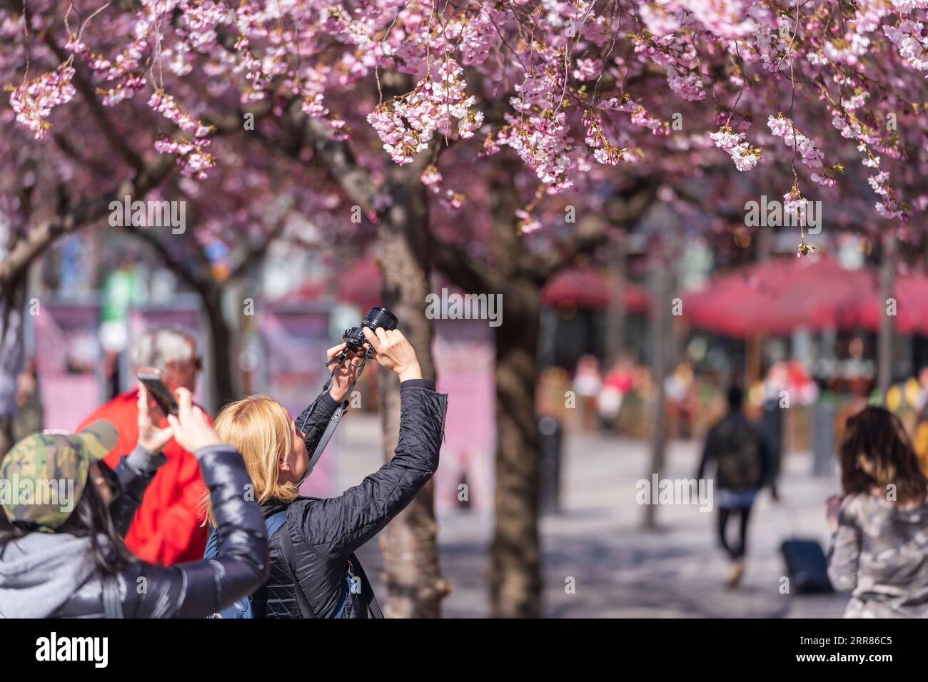 Stockholm 2021 hi-res stock photography and images - Alamy